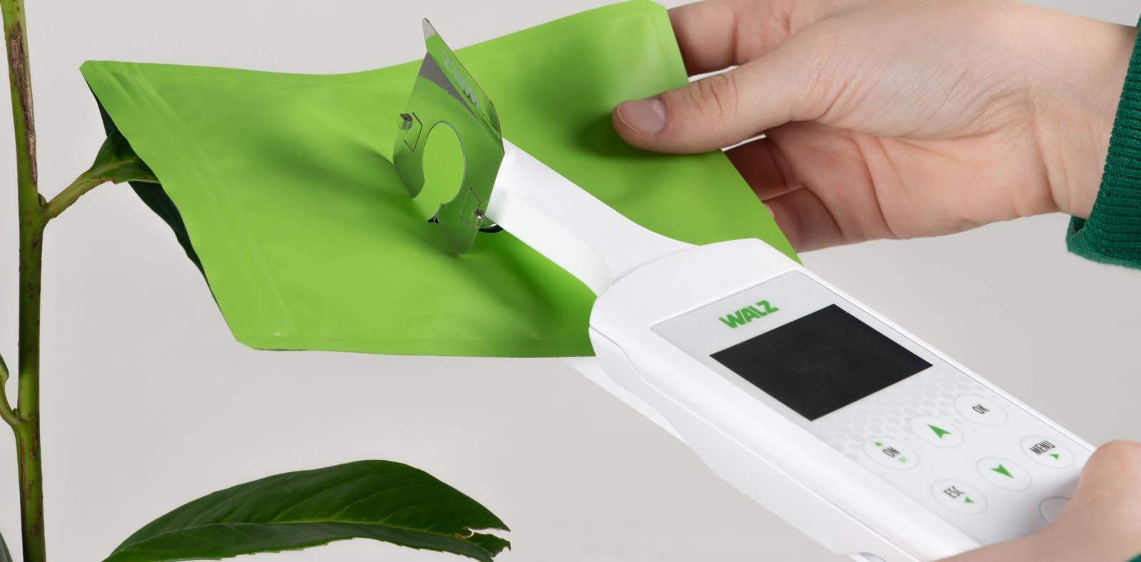 Walz LSA-2050 | CaderaDesign - Industrial Grade UX